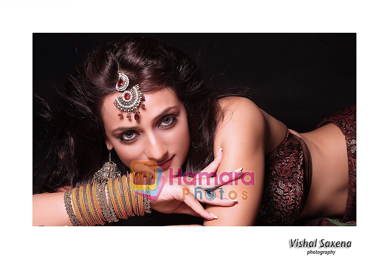 Arshie Wallpaper / Arshi Khan - Bollywood Photos